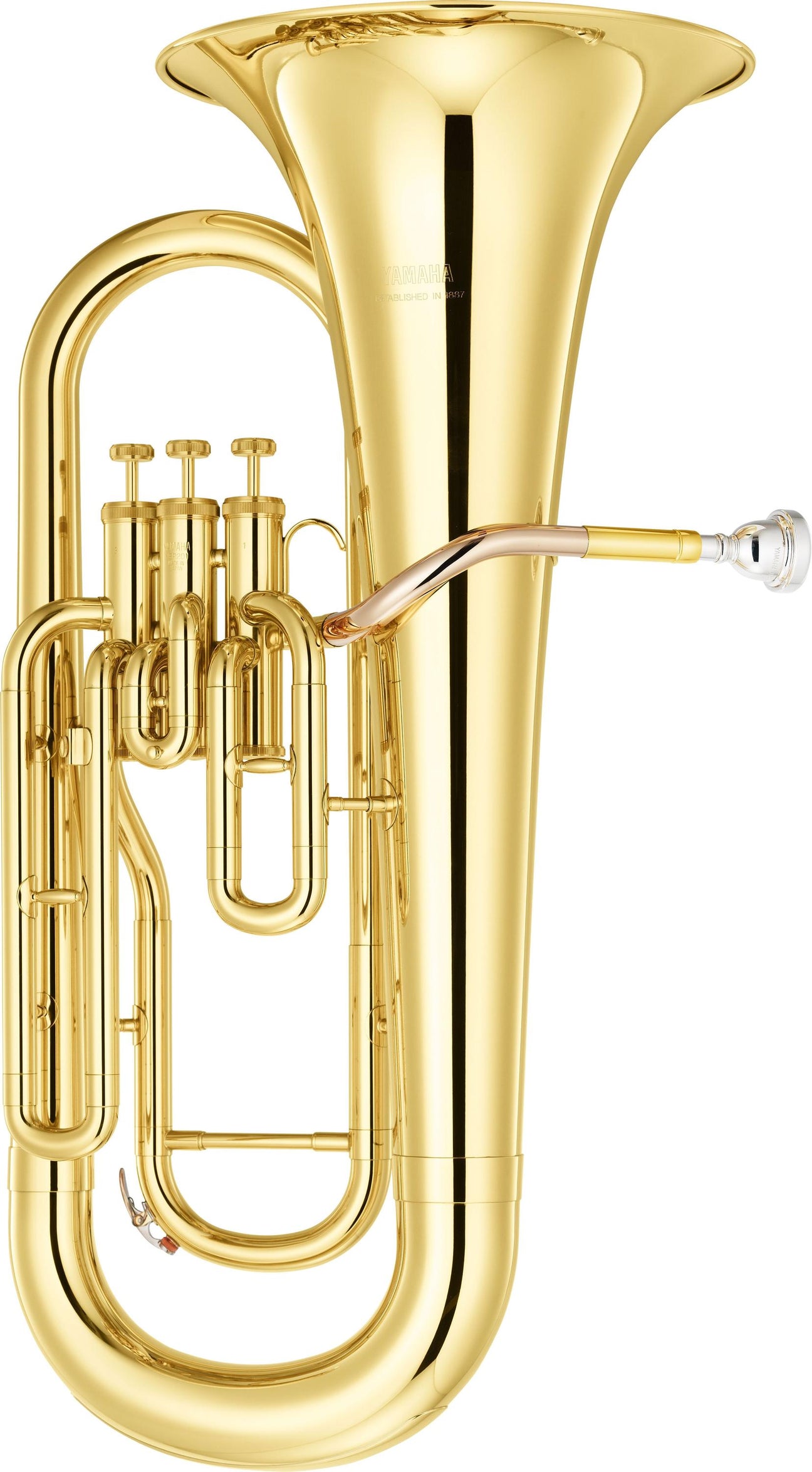 Euphoniums - In Store & Online | Turramurra Music